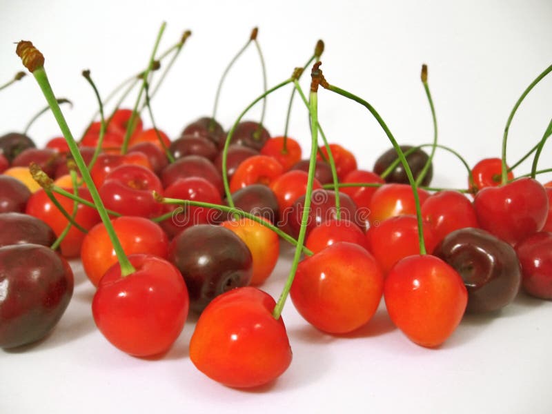 Red Cherry Picture. Image: 2754906