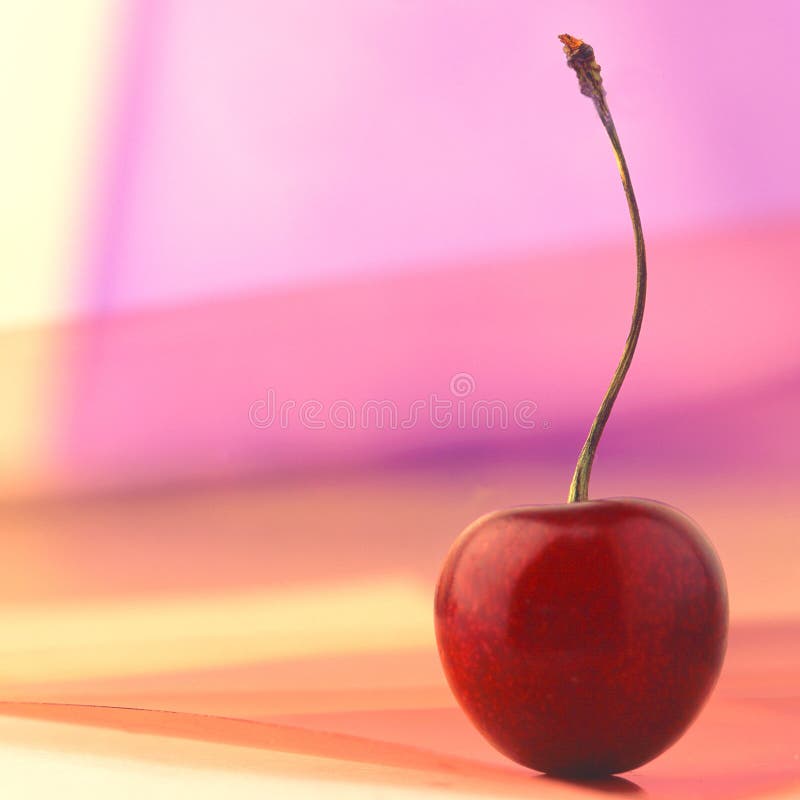 Red cherry stock photo. Image of closeup, color, cherry - 2924146