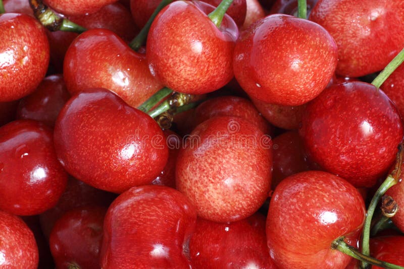 Red Cherry Picture. Image: 5318617