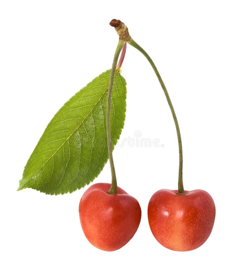 Red Cherry Picture. Image: 5673878