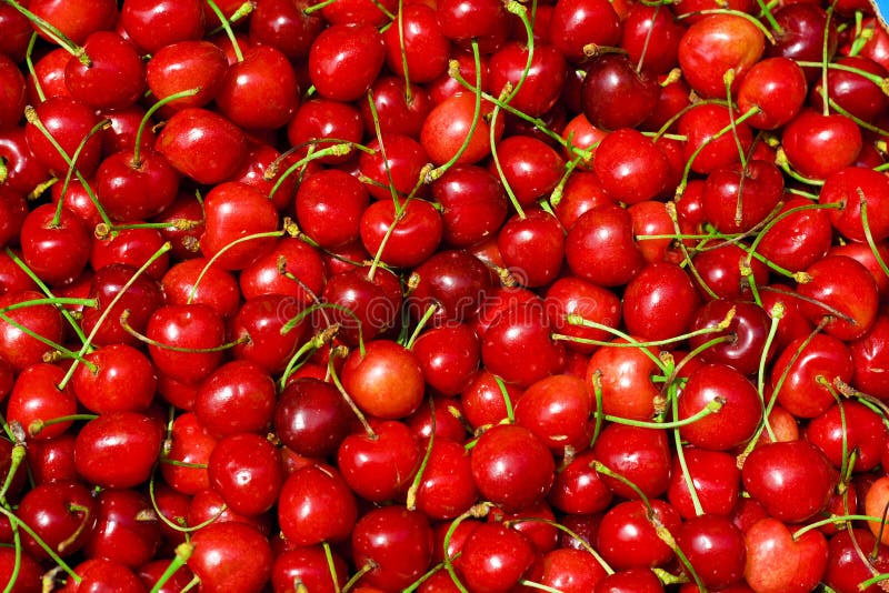 Red Cherry Background Royalty Free Stock Photography - Image: 17028097