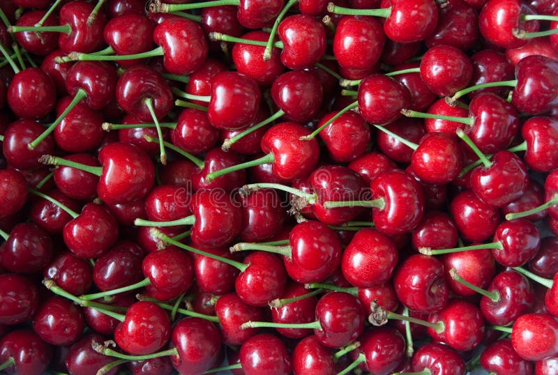 Red cherry stock image. Image of market, freshness, color - 55274863