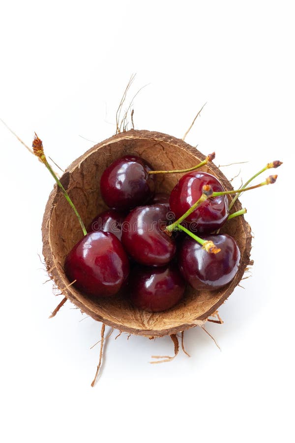 Shell, Cherry and Rock, Still Life. Stock Photo - Image of green ...