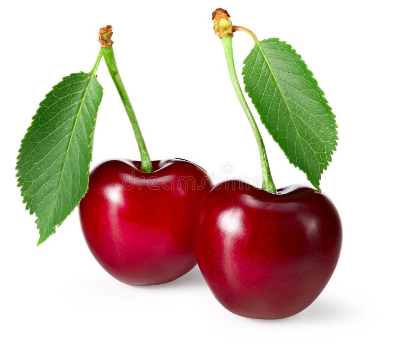 683 Cherry Clipping Path Isolated White Background Full Depth Field ...