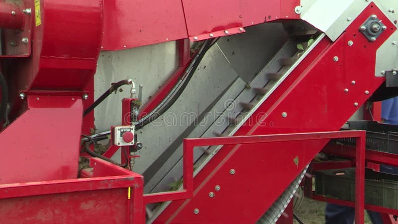 Red Cherry Harvester Machine, Close Up Mechanism Stock Footage - Video ...