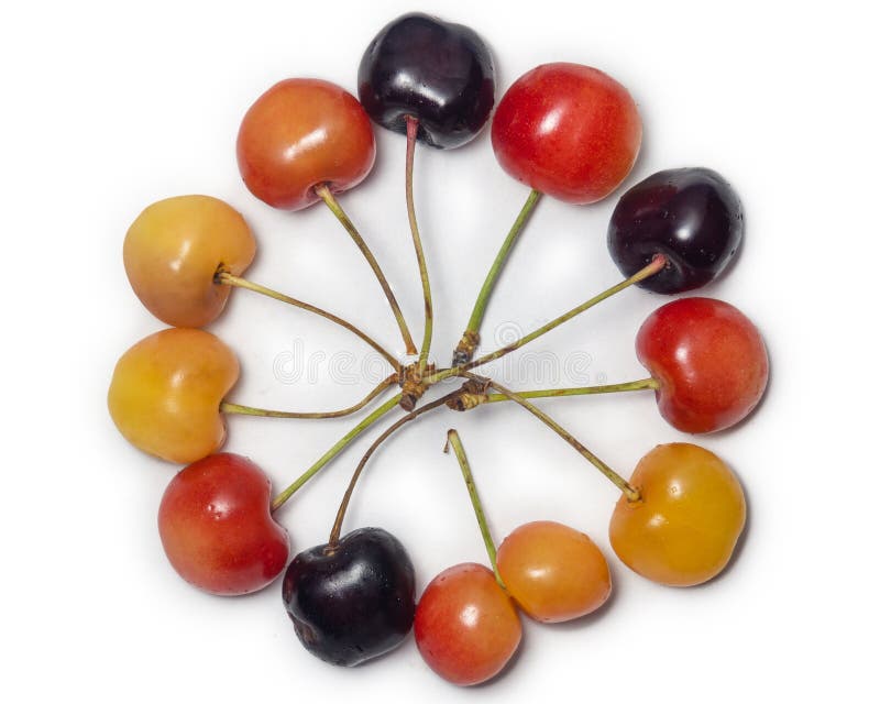 Red Cherry. Ingredient for Jam. Multi-colored Cherries with Stems are ...