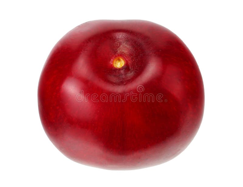 Red Cherry Isolated on a White Background Stock Photo - Image of ...