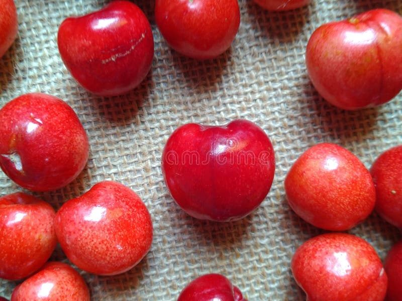 Pair of red Cherries stock image. Image of aroma, color - 187530777