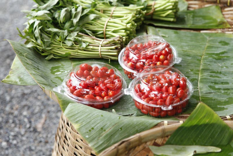 Red Cherry Tomato in Plastic Box at the Market Stock Image - Image of ...