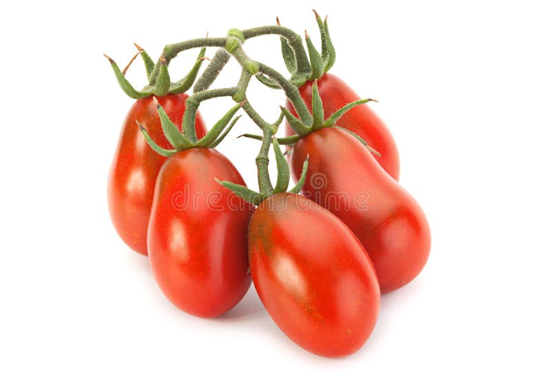 Red tomato vegetable stock photo. Image of vitamin, green - 24121646