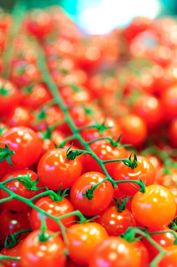 Red cherry tomatoes stock image. Image of nature, juicy - 21293847