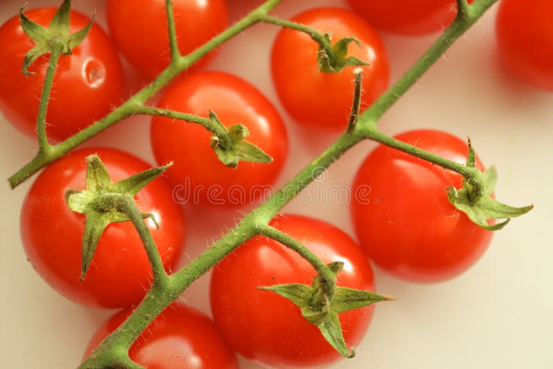 Tomatoesto Stock Photos - Free & Royalty-Free Stock Photos from Dreamstime