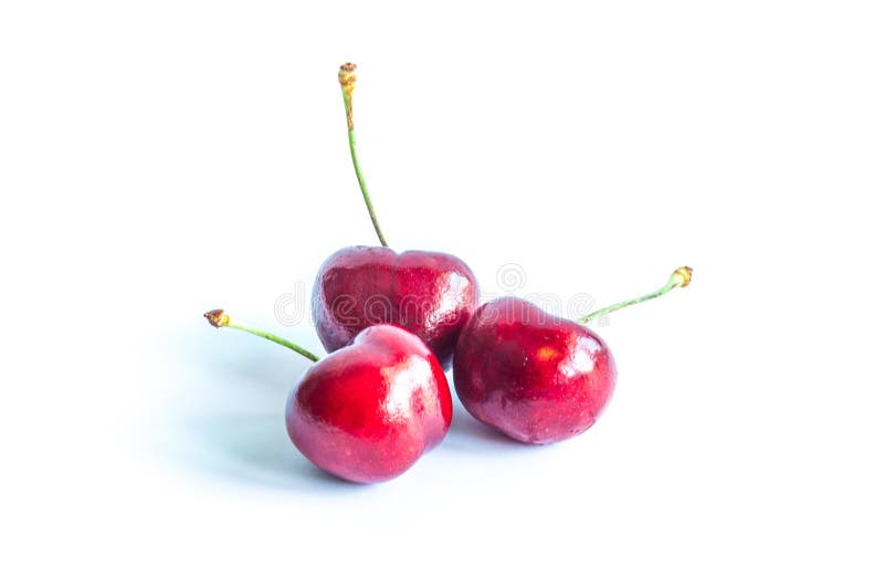 Red cherry on white screen stock image. Image of beautiful - 149243889