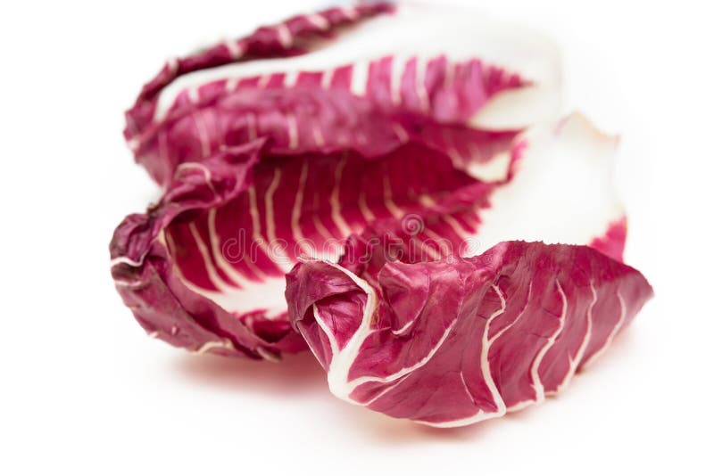 Red chicory stock image. Image of salad, vegetable, chicory - 62354451