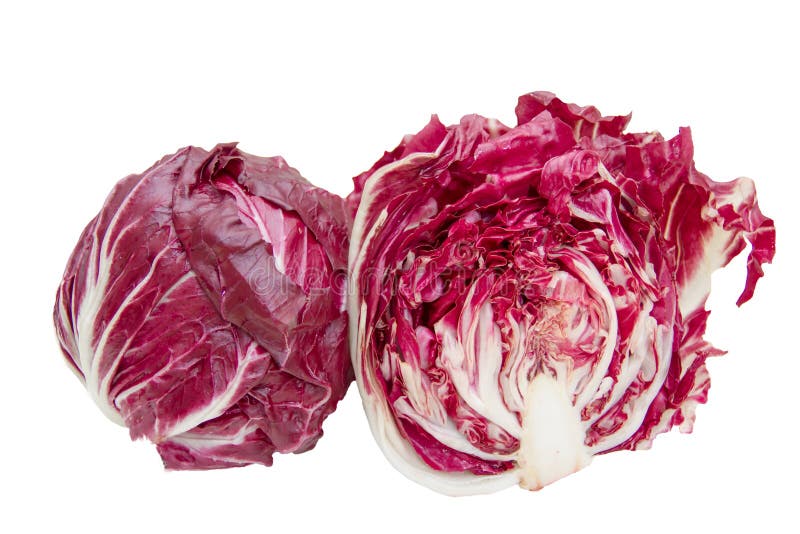 Red Chicory stock photo. Image of background, natural - 44683148