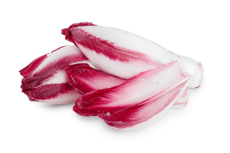 Red Chicory or Radicchio Isolated on White Background Stock Image ...