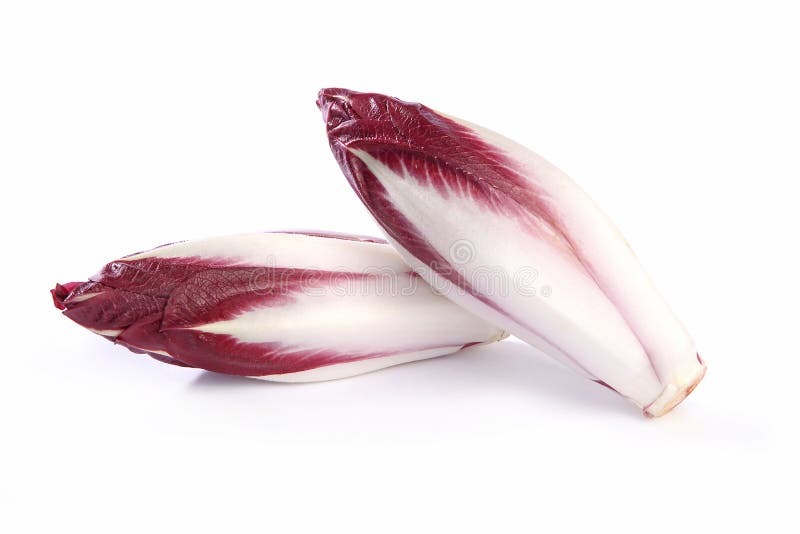 Red Chicory Varieties Isolated Stock Photo - Image of chicory ...