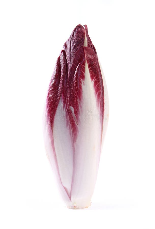 Red Chicory Varieties Isolated Stock Photo - Image of trimming, endive ...