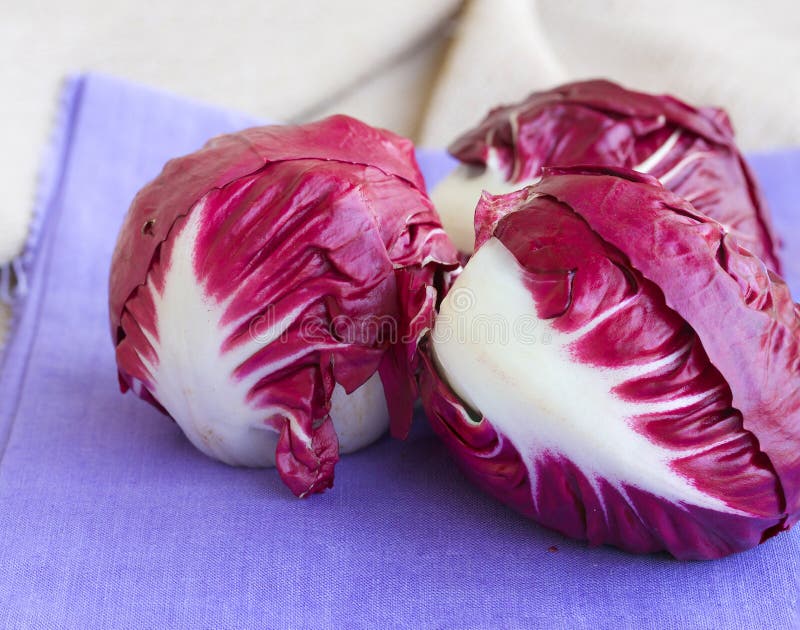 Red chicory stock image. Image of detox, macro, folate - 62404375