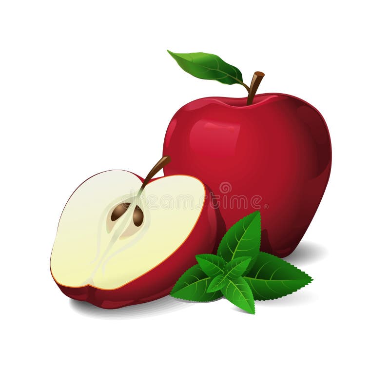 Red Chief Apples stock vector. Illustration of chief - 20155909