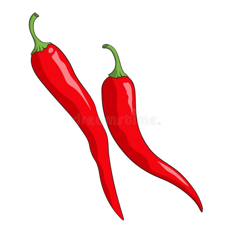 Red Chile Pepper, Spicy Cayenne Pepper Vector Illustration Stock Vector ...