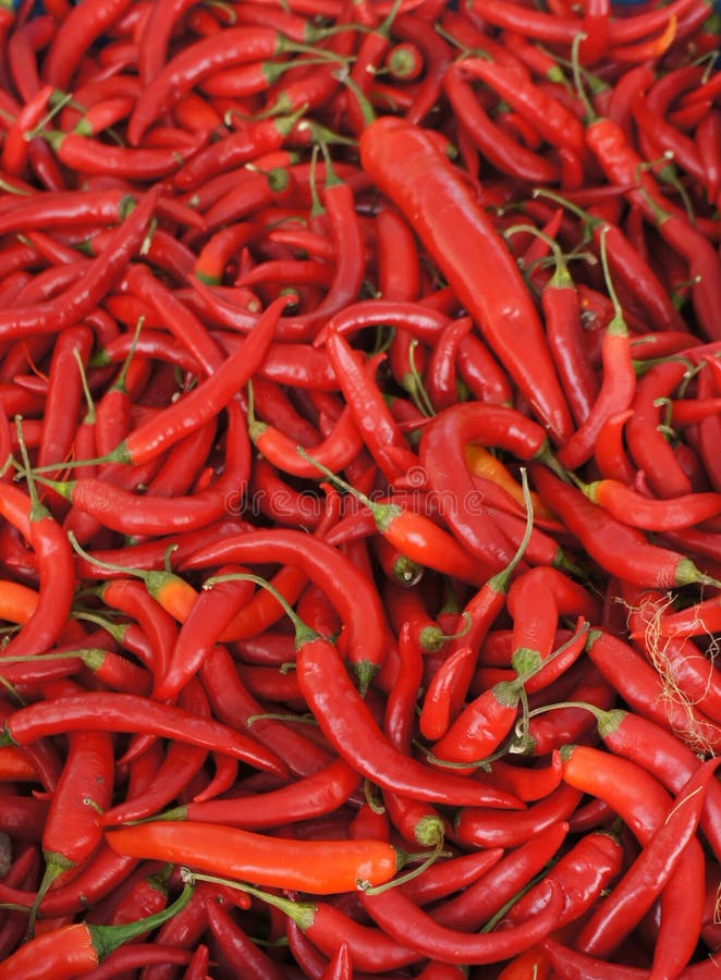 Red chile peppers stock image. Image of chile, peppers - 21796295