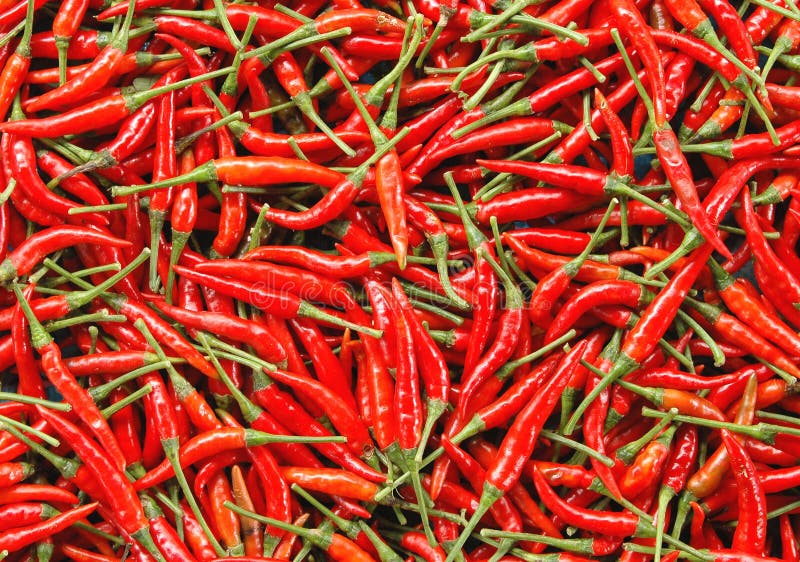 Red chili stock photo. Image of cooking, chili, green - 15397630