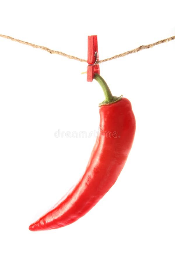 Red Chili stock photo. Image of mexican, white, culture - 5535156