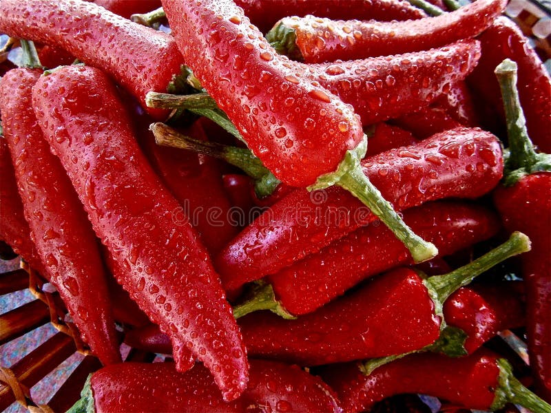 Red Chili Picture. Image: 82989663