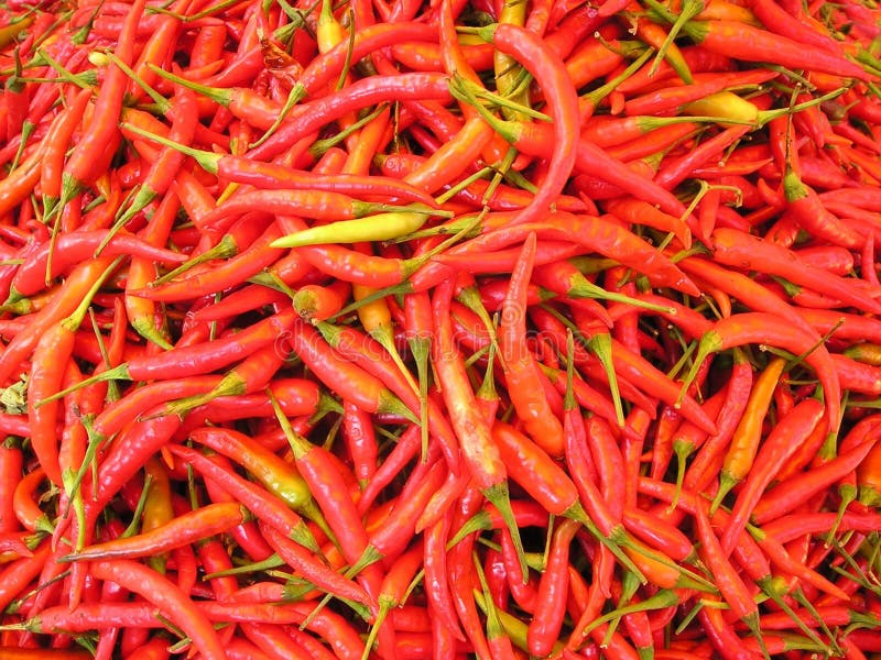 Red Chili Picture. Image: 82994273