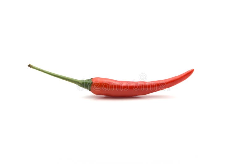 Red Chili or Chilli on White Background Stock Photo - Image of ...