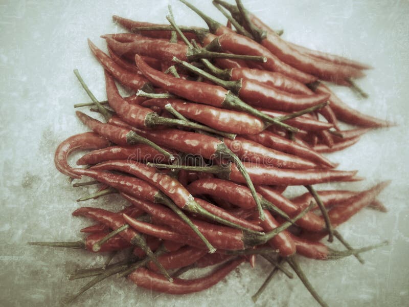 Red chili stock image. Image of freshness, menu, chili - 36805813