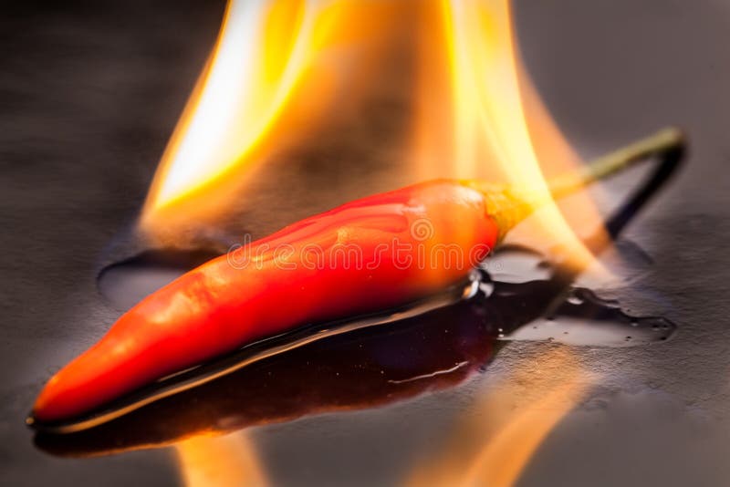 Red chili stock photo. Image of pepper, flame, cooking - 59530914