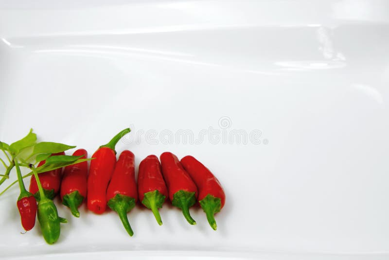 Red Chili on Paper White Background Stock Photo - Image of dish ...