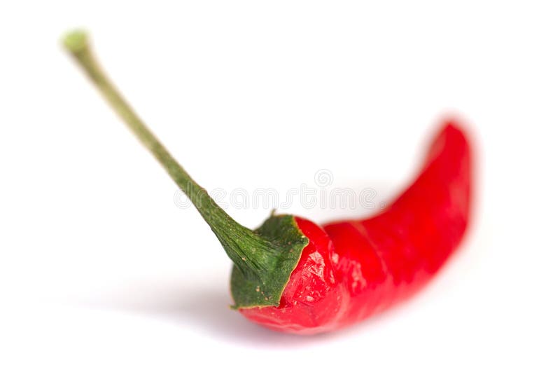 Red Chili Pepper stock image. Image of closeup, fruity - 1128019