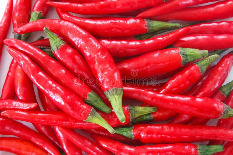 Bundle of Chili Peppers stock image. Image of spice, chili - 42920033