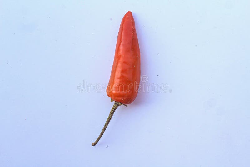 Red Chili Pepper with a Glossy, Smooth Texture, Placed on a Plain White ...