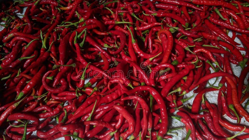 Red Chili Pepper in Large Quantities Stock Image - Image of healthy ...