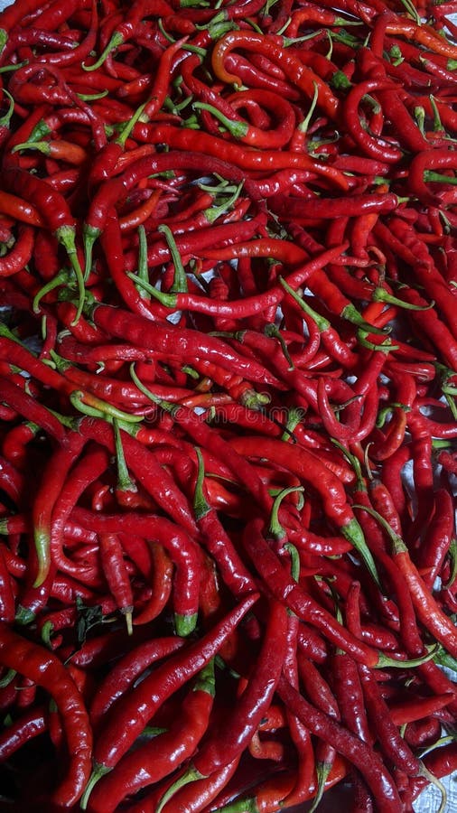 Red Chili Pepper in Large Quantities Stock Image - Image of heat ...