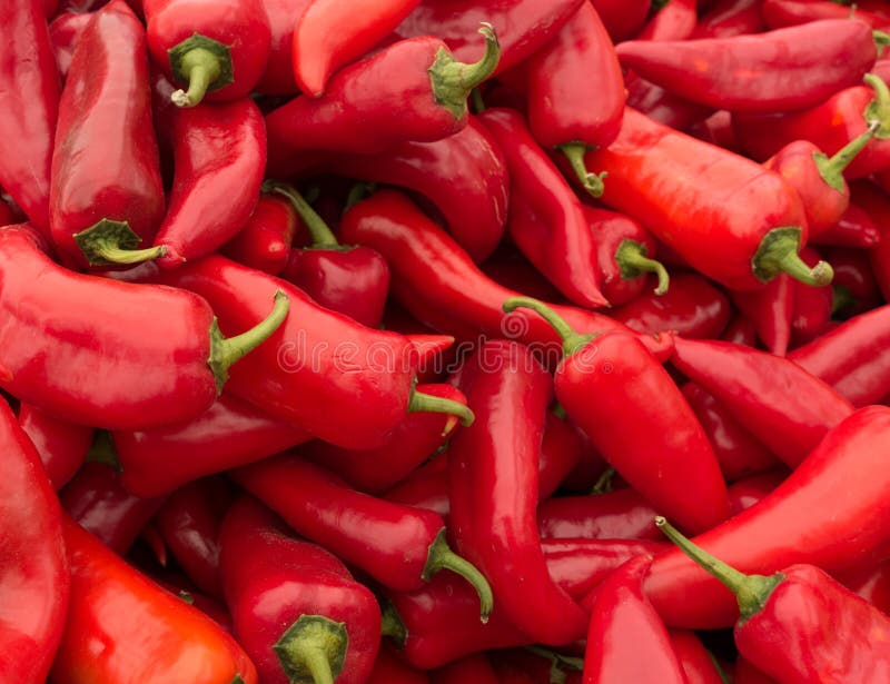 Red Chili Pepper Stack stock image. Image of polbano - 98169907