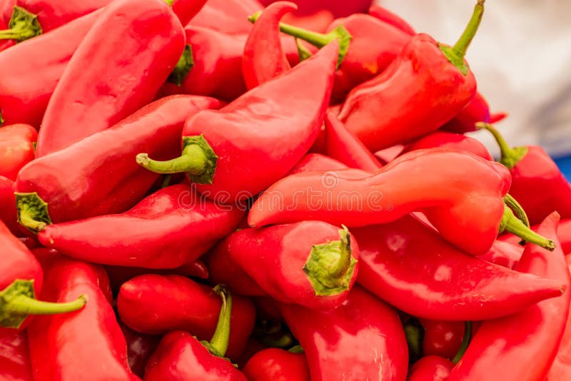 Red Chili Pepper Stack stock photo. Image of cooking - 98172398