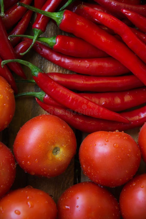 Red Chili Pepper and Tomatoes Stock Photo - Image of still, growing ...