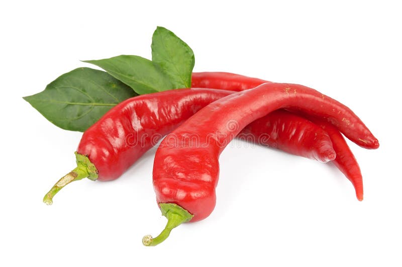 Hanging Strand of Red Chili Peppers Stock Photo - Image of close ...