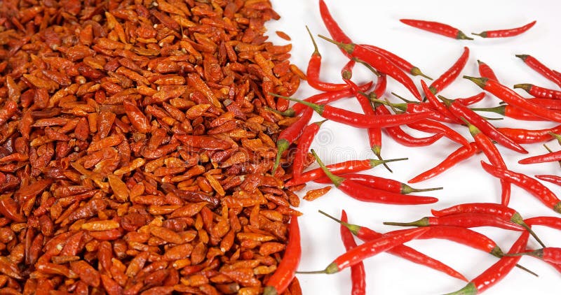 Red Chili Peppers, Capsicum Annuum Falling Against with Background ...
