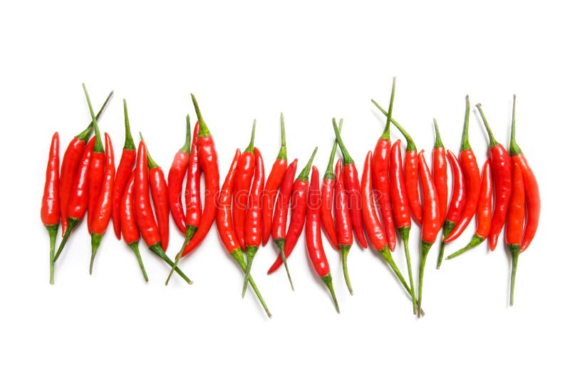 Chili border stock photo. Image of plant, cooking, food - 10971024