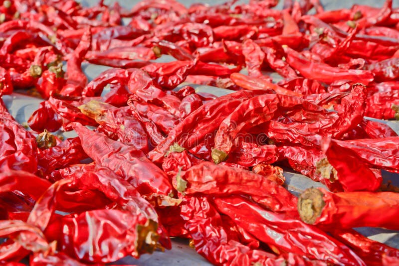 Red chili stock image. Image of ingredient, chilli, fiery - 38649631