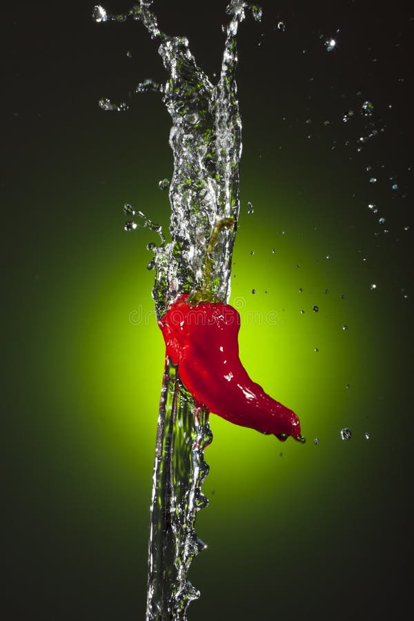 Three red chilli in water stock photo. Image of drop - 13868960