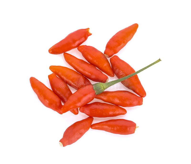 Red Chili Top View on White Background Stock Image - Image of fresh ...