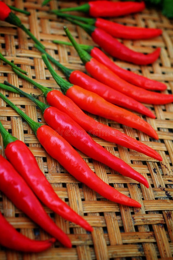 Red chili stock photo. Image of peppers, green, chillies - 33603226