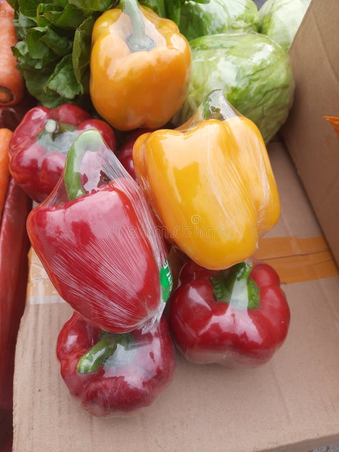 Red chili and yellow chili stock photo. Image of yellow - 296156746